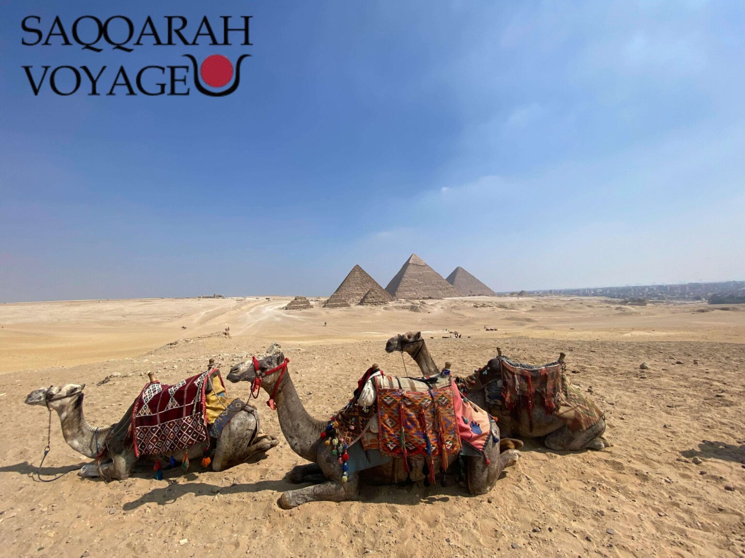 Le Caire Egypte : votre guide pour découvrir - Saqqarah Voyage