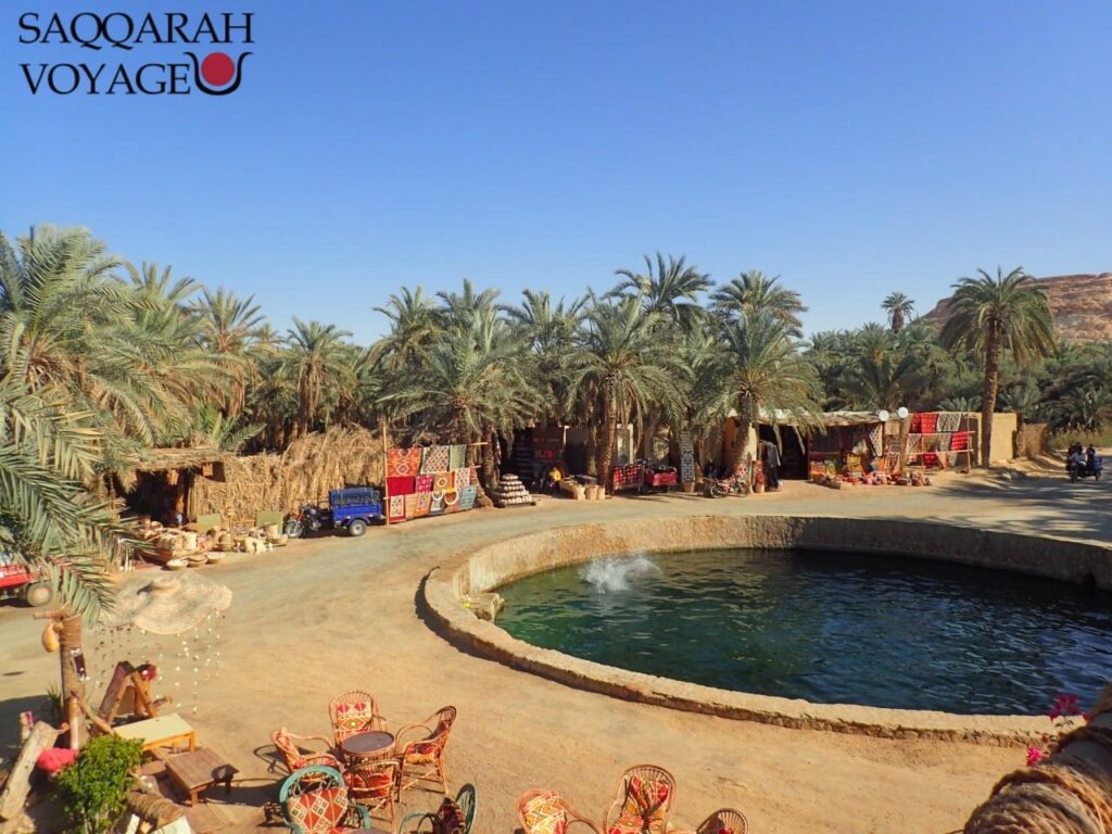 Visiter l'oasis et désert de Siwa en Égypte : votre guide pour ...